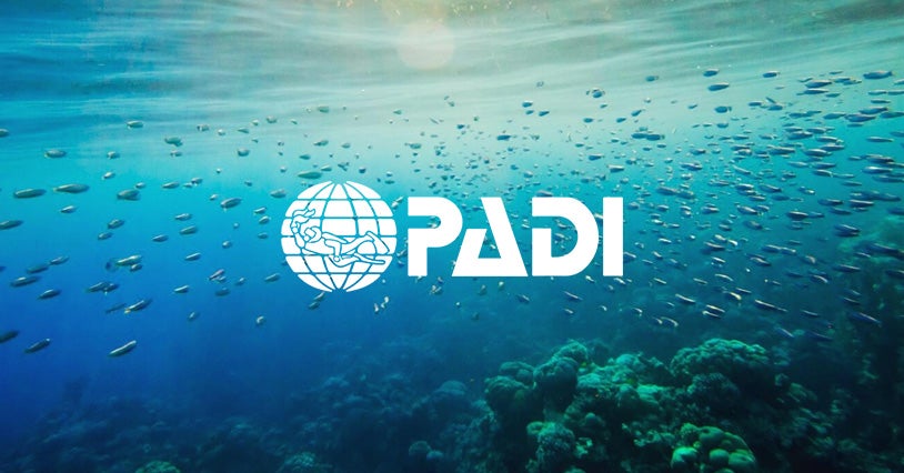How PADI Found Success With Video | AdRoll