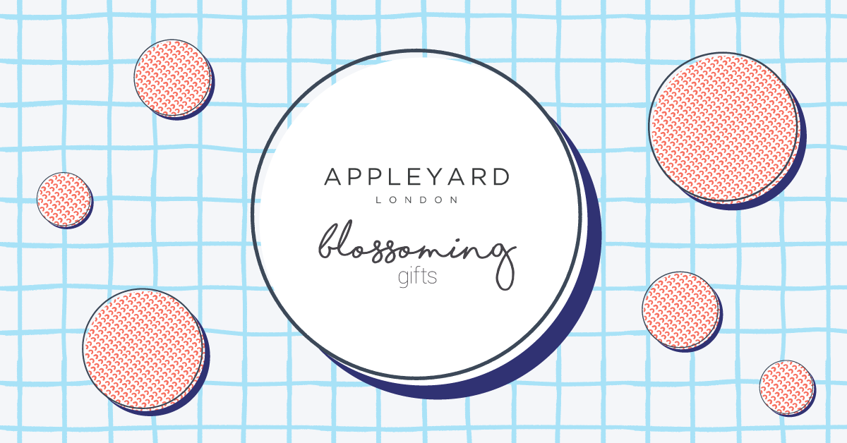 How Ecomnova Is Winning During the Holidays — and Year-Round | AdRoll