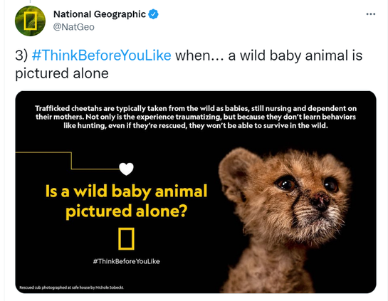 Top 4 Social Ads From 2021 to Inspire Your Next Campaign | AdRoll